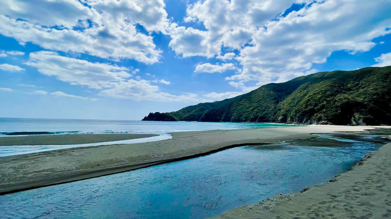 Save Katoku, 嘉徳 奄美の「ジュラシックビーチ」UNESCO 世界自然遺産