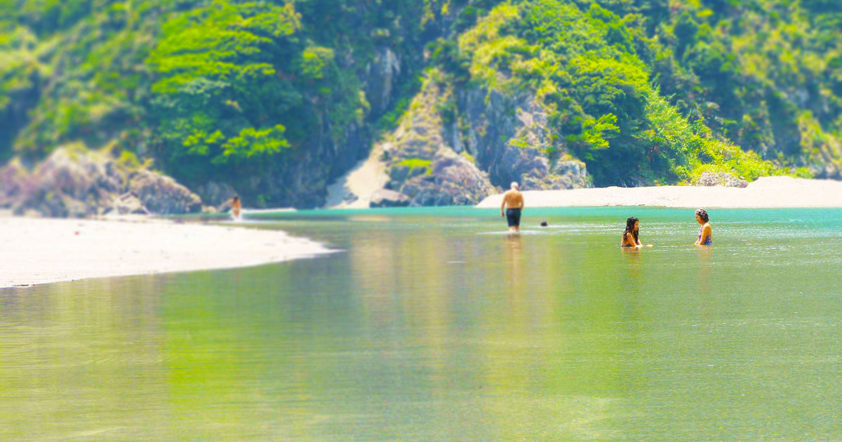 Save Katoku 嘉徳 奄美の「ジュラシックビーチ」UNESCO 世界自然遺産